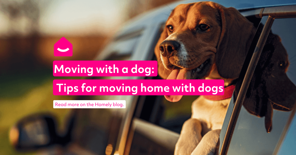 Moving With A Dog: Tips For Moving Home With Dogs - Homely